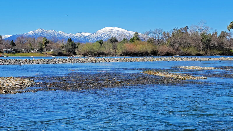 Sacramento River, Redding CA: Photos & info of the Redding area